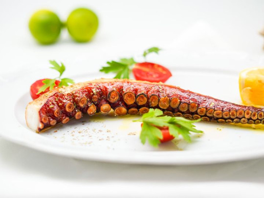 Manos Greek Fish Taverna Symi | Symitop