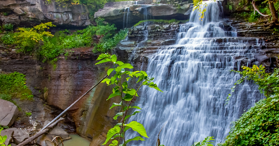 Best Ohio Wheelchair Accessible Activities Best Ohio Wheelchair Accessible Activities