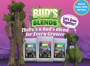 Products | Tanks Green Stuff