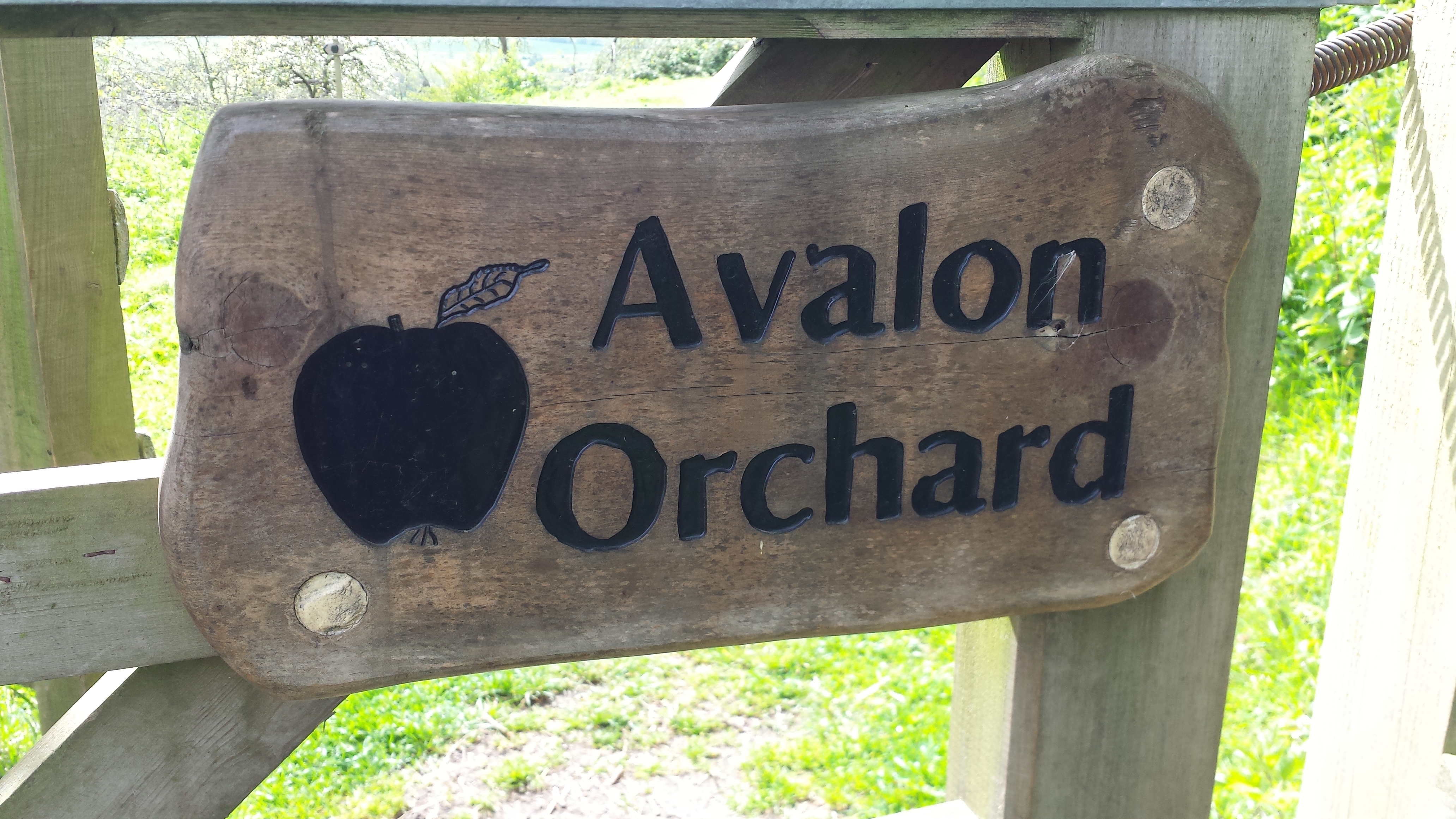Avalon Tours