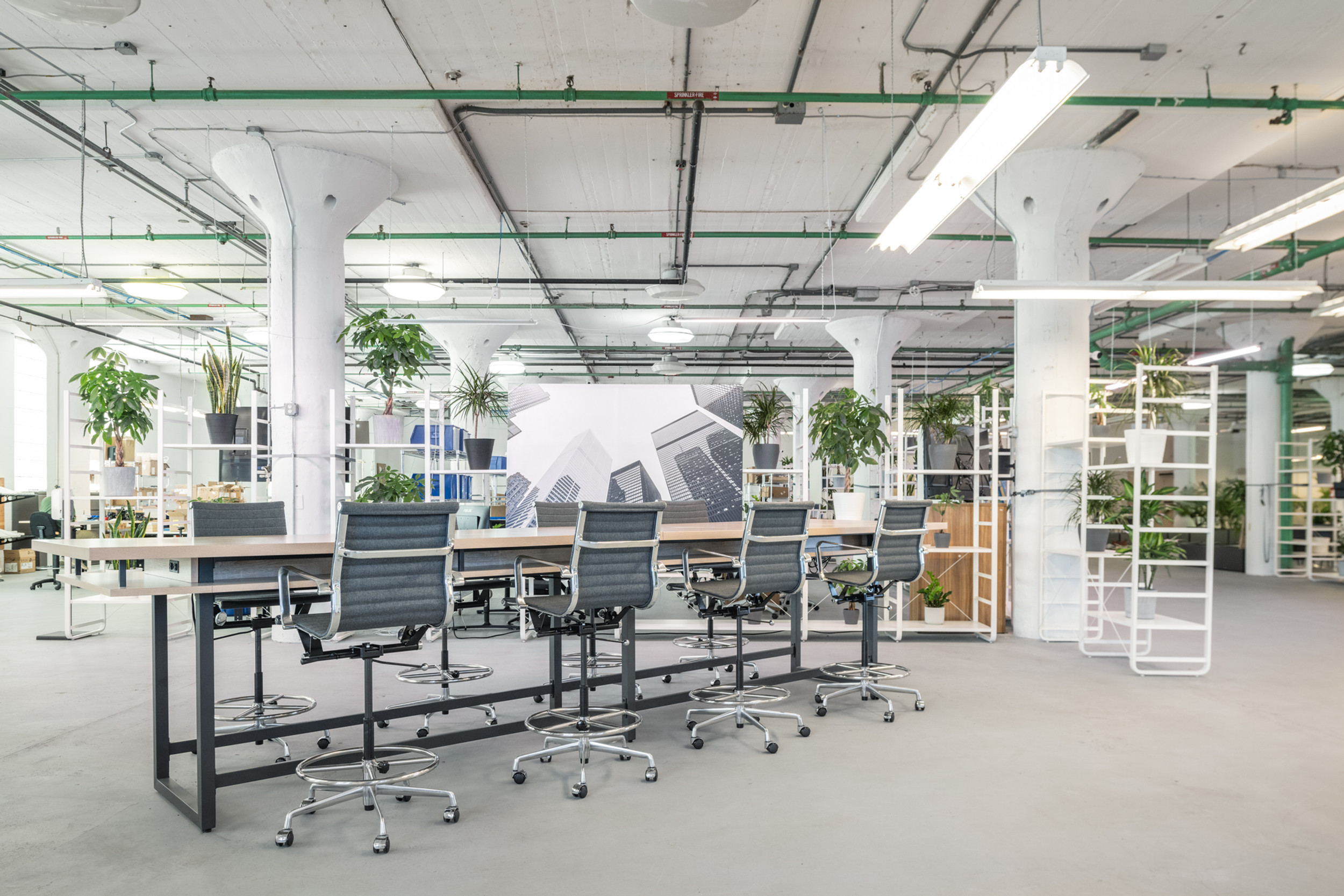 Dominique Michelle Vidal | Interior Design | Commercial Interior