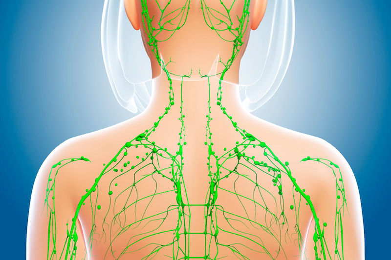 Matrix Rhythm Therapy Restores a Well-Functioning Lymphatic System to ...