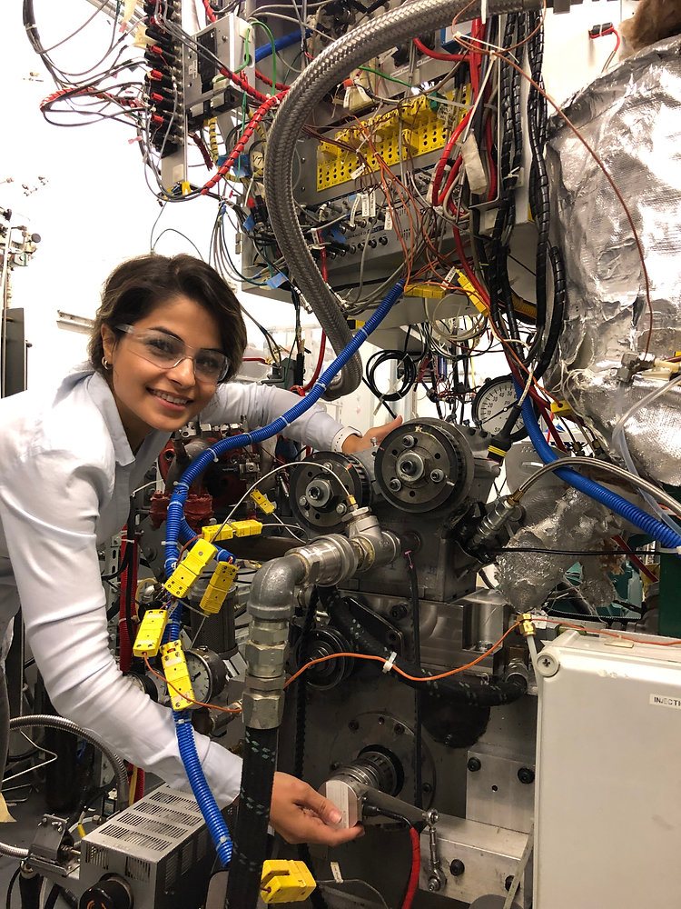 Spotlight: Mozhgan Rahimi Boldaji