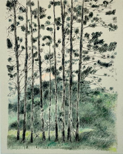 Defining Moments | Toni Gallo Art