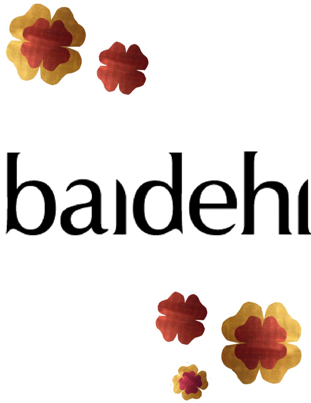 Women's Online Indian Wear Fashion Store - Designer Wear Store | Baidehi