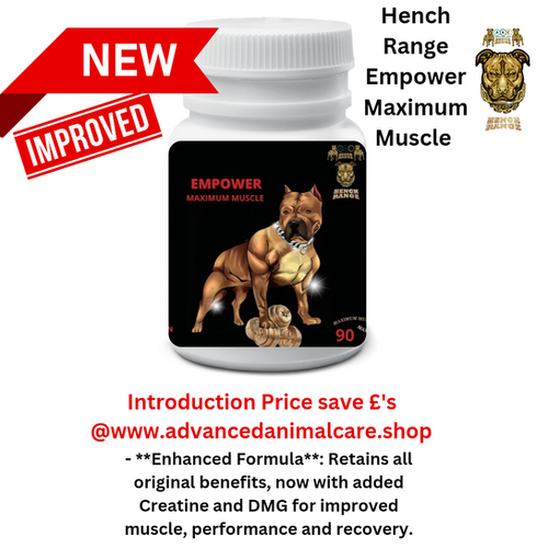 Hench Range Empower Dog Muscle Gainer - Advanced Animal Care Online Store