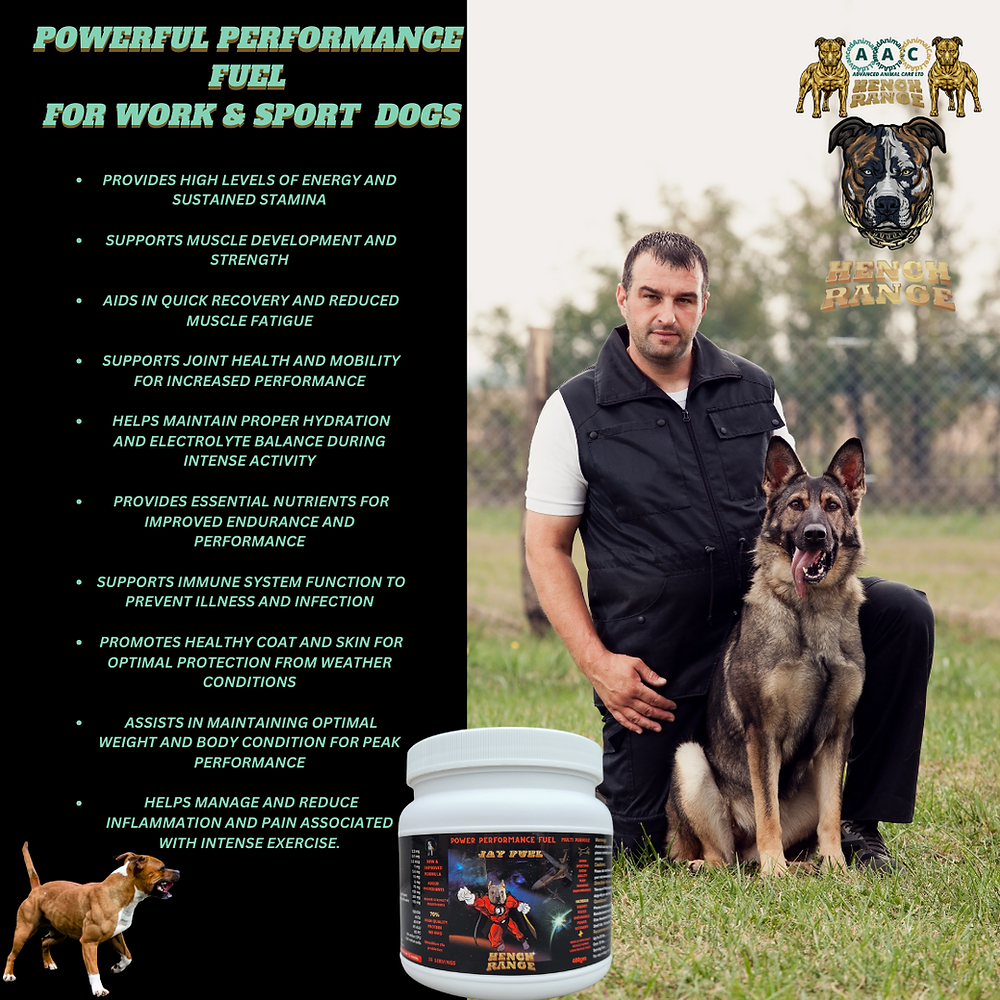 What Is The Best Protein For Sporting And Working Dogs