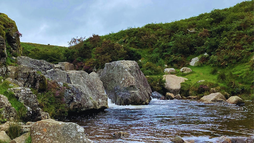 15 reasons to make Tavistock the base for your Devon adventure