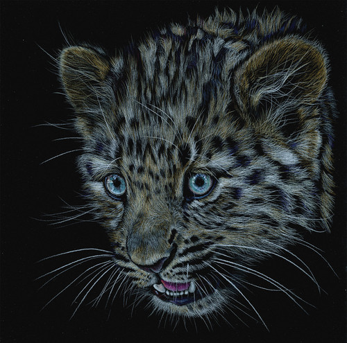 'Leopard Cub' Original | trace-on-paper