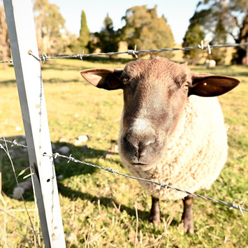 Somerton Ridge | Southern Highlands Airbnb | Somerton Collection