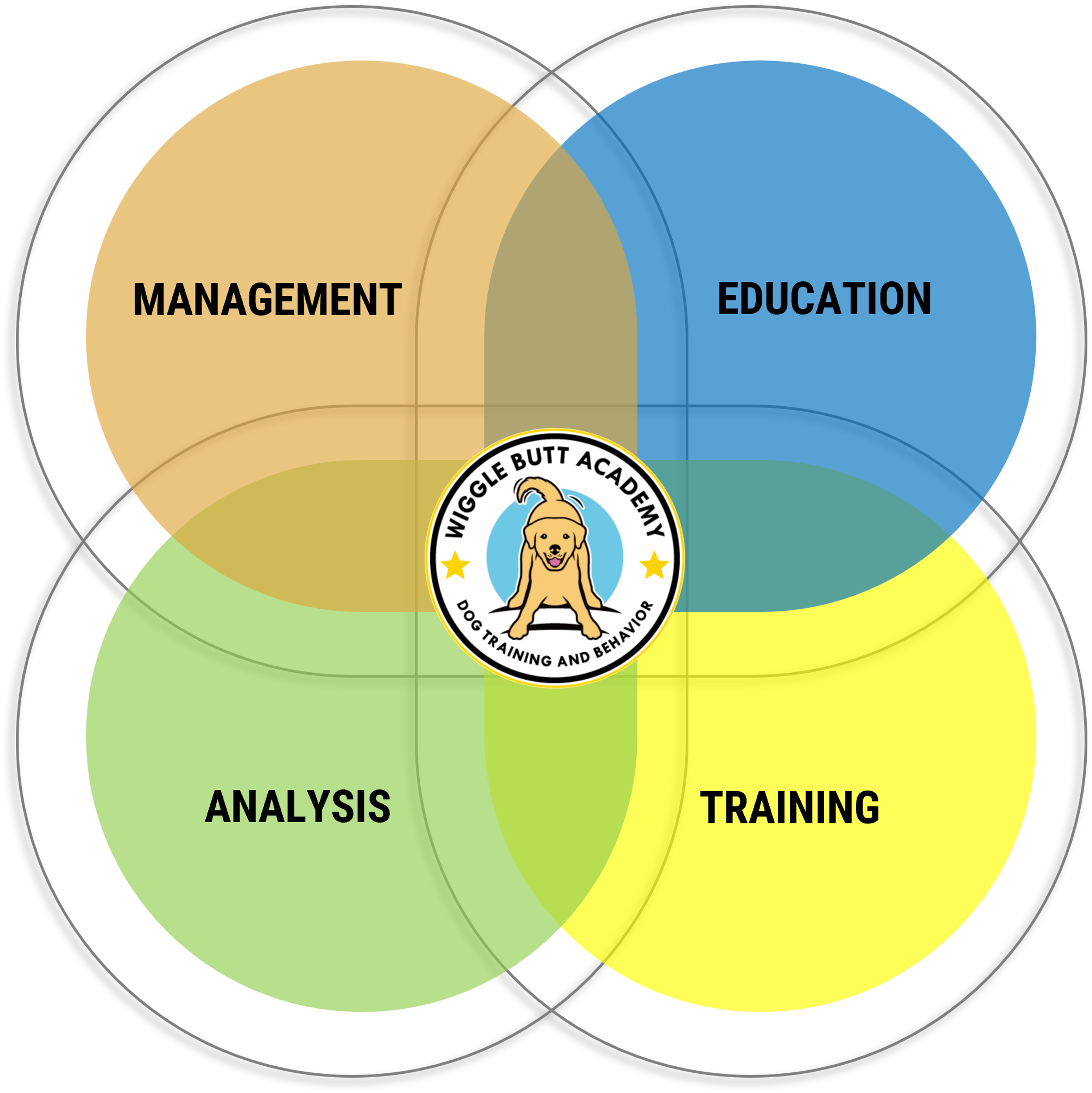Management | Wiggle Butt Academy