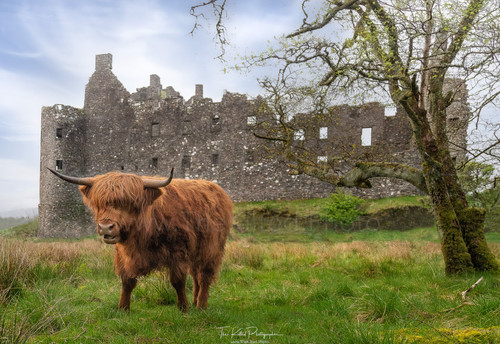 IMG00357 - The Coo and The Castle | TheKiltedPhoto