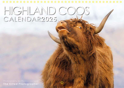 2025 Calendar - Highland Coos | TheKiltedPhoto