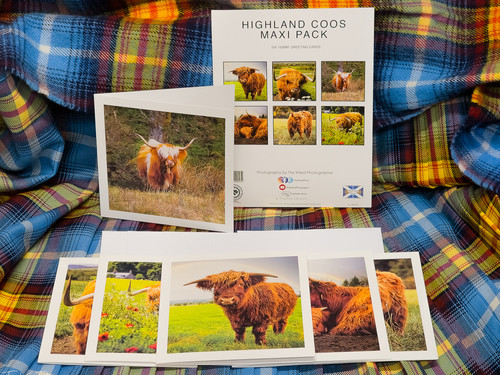 Highland Coo Greeting Cards | TheKiltedPhoto