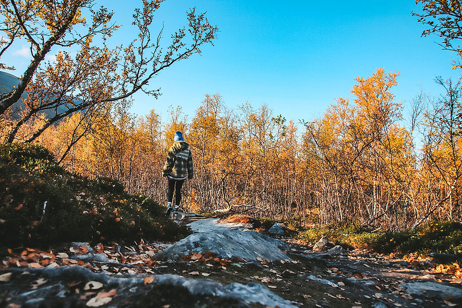 Top 10 activities for Sweden - in fall | Småland Campers