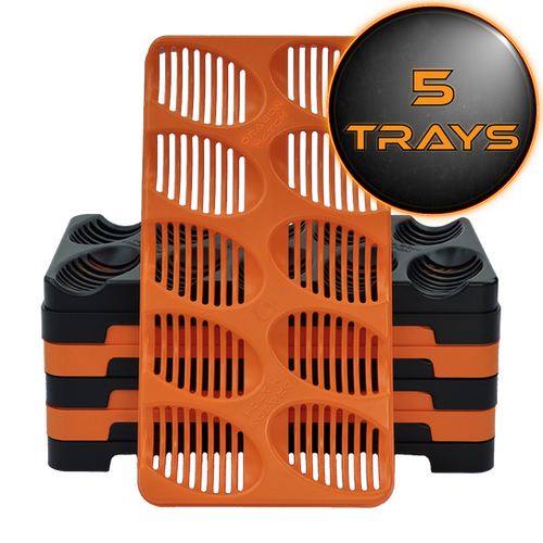 Five Trays | Dragon Hatch