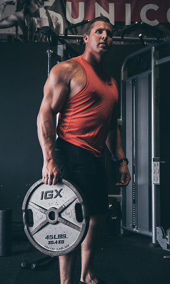 Home | Alpha Male Program | Lifestyle Coach