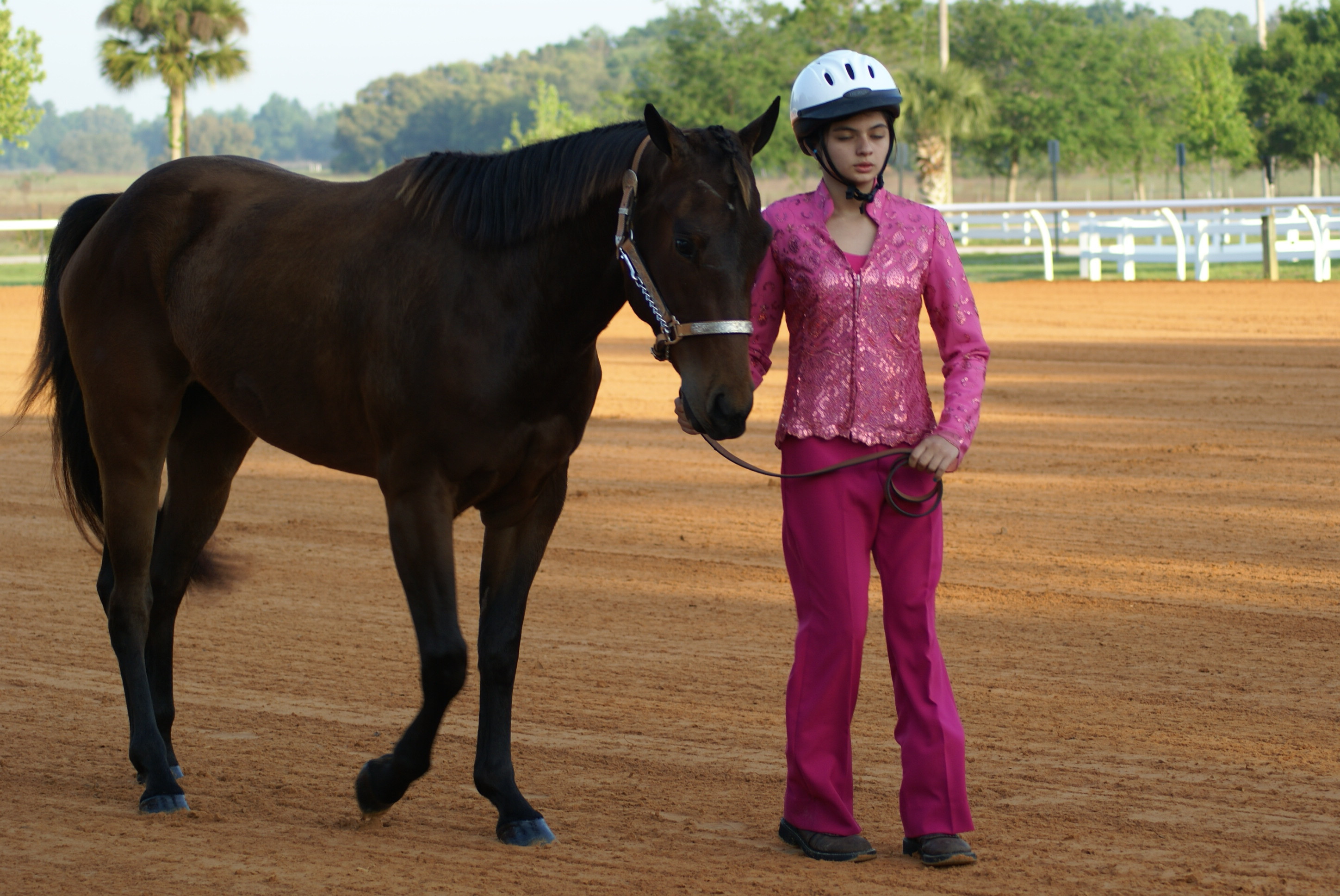 Equine Assisted Learning