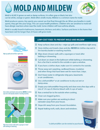 Mold and Mildew Action Sheet | The Cooperative