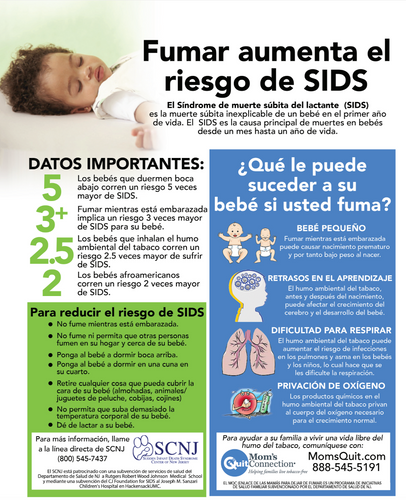 SIDS Infographic Flyer (Spanish) | SNJPC