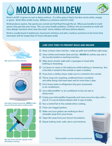 Mold and Mildew Action Sheet | SNJPC