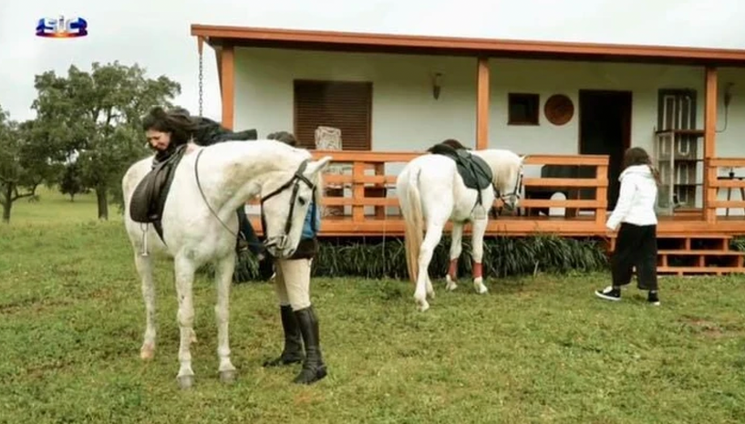 Casa DIFF - Wood Houses, Prefab Houses and Modular Houses - Real Cases