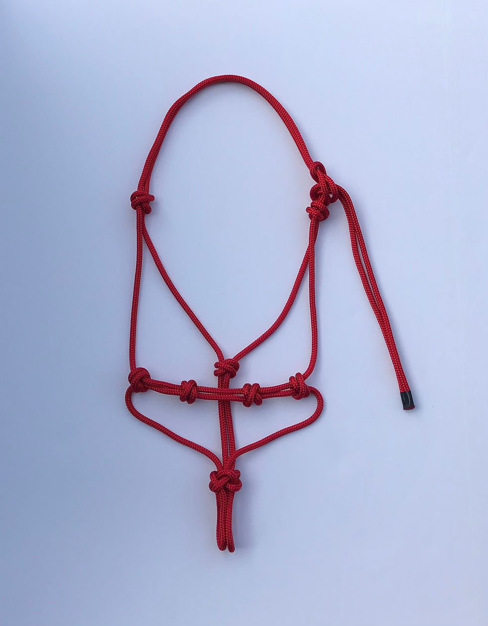 Rope Halters | KGR Creations