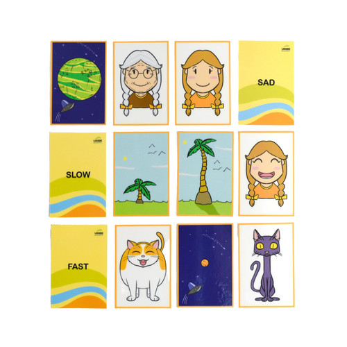 Cards Opposites (12) | Learning Store