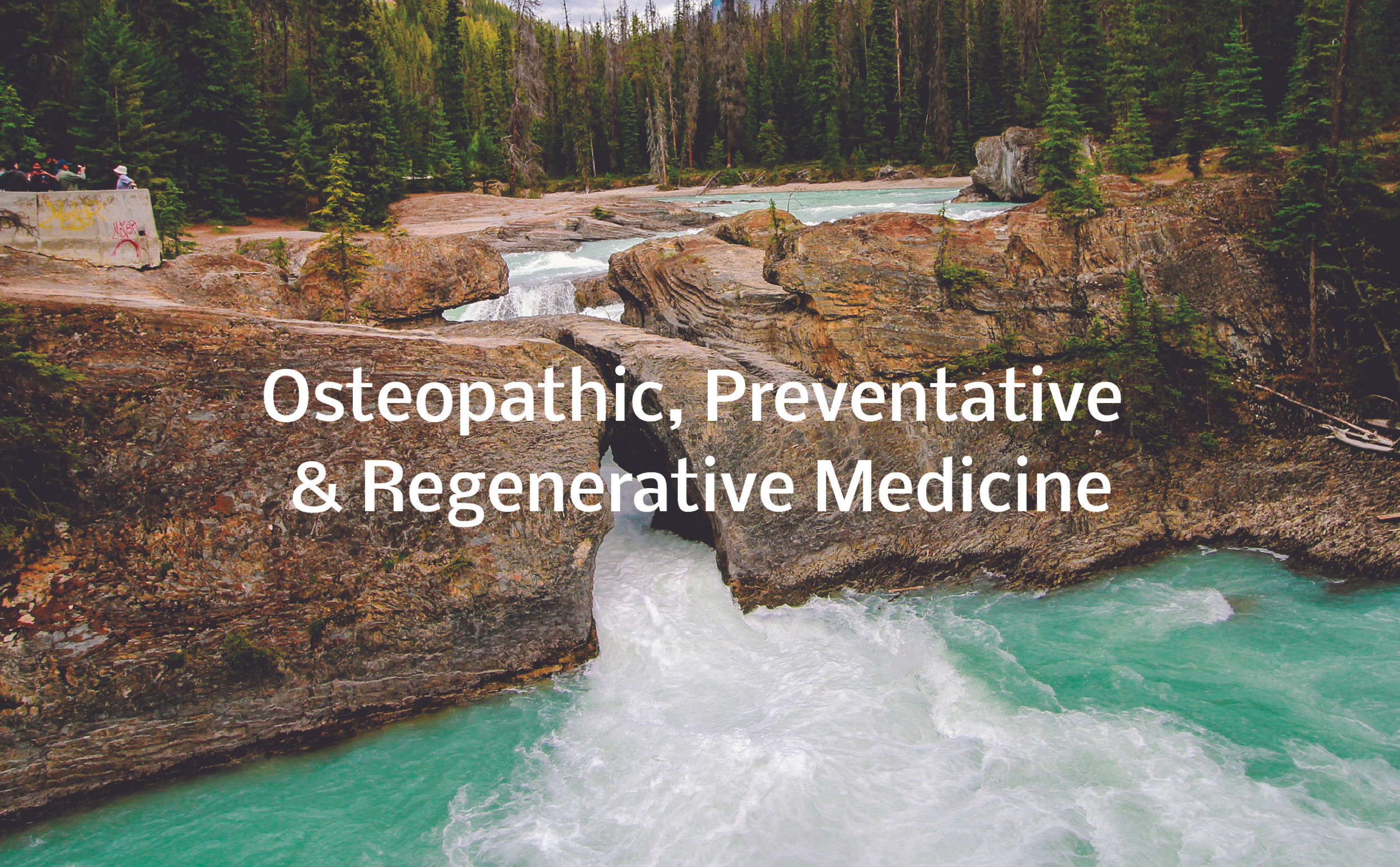 Dr. Montanaro | Osteopathic, Preventative, & Regenerative Medicine ...