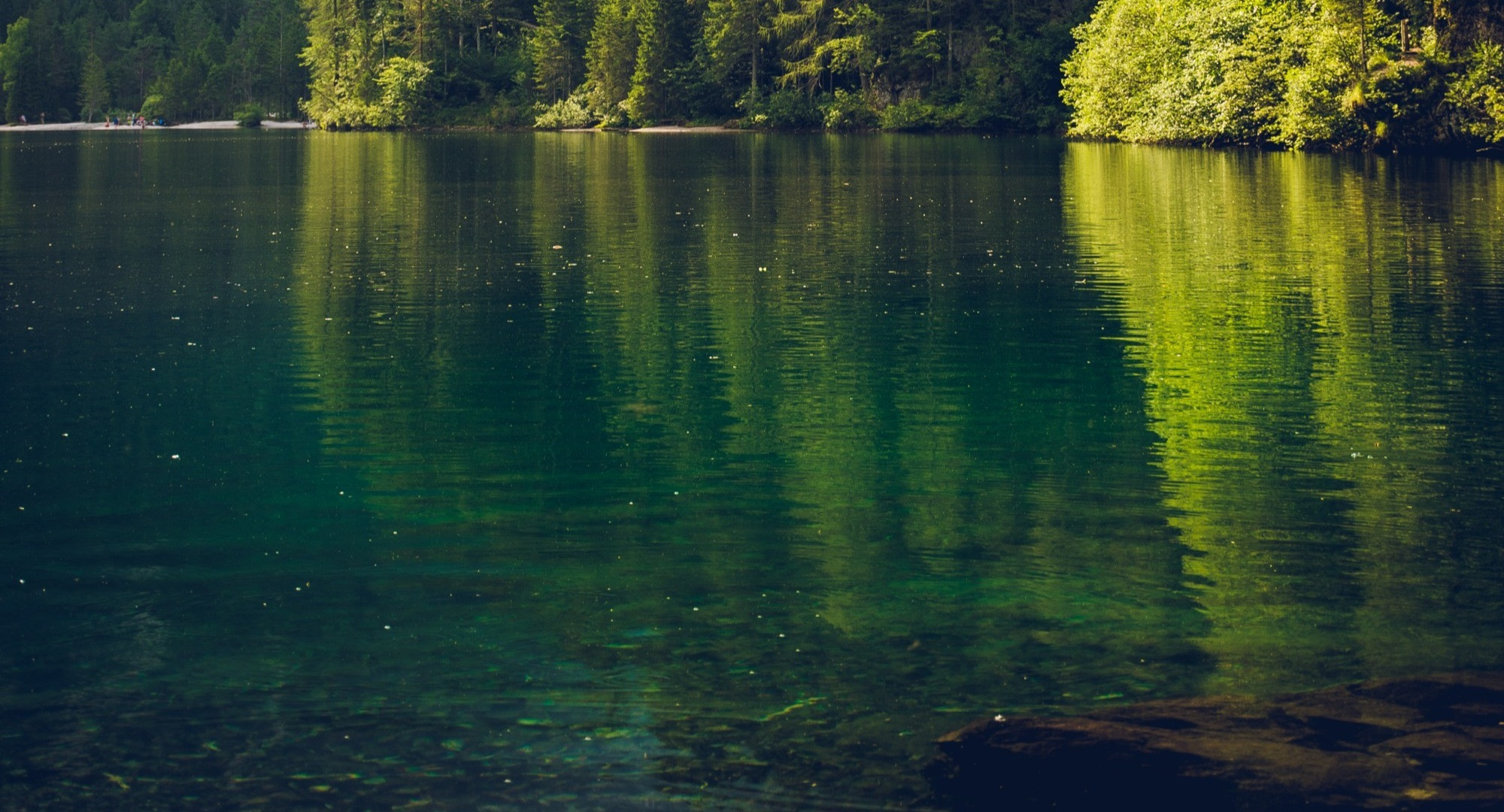 Minor Autohemotherapy | Dr. Montanaro