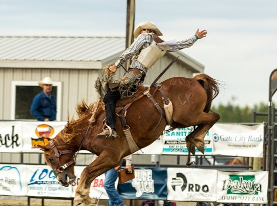 Home | roughriderdaysfair