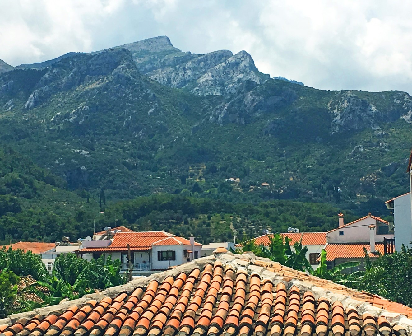 Samos Gallery | The Greekish Life