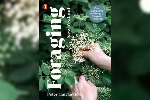 FORAGING NEW ZEALAND | Kowhai and co