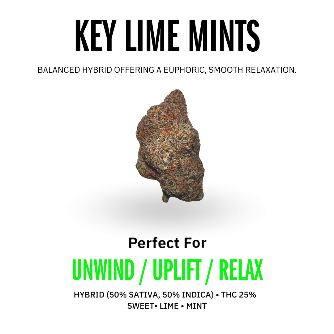 KEY LIME MINTS | BANGKOK CANNABIS FARM