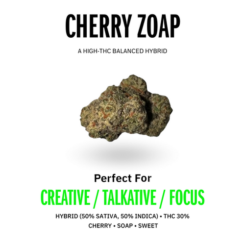 CHERRY ZOAP | BANGKOK CANNABIS FARM