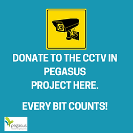 pegasus cctv