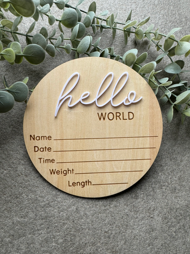 Large Hello World Announcement Disk | Baby J's