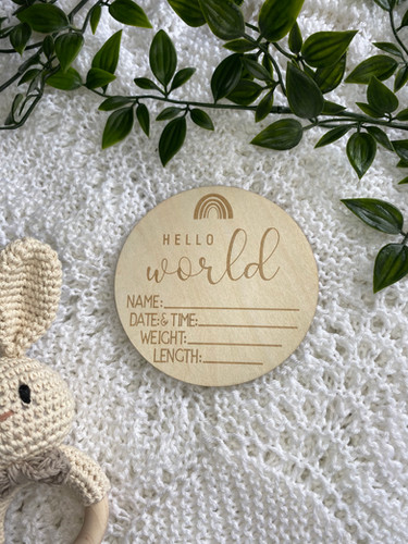 Hello World Rainbow Announcement Disk | Baby J's