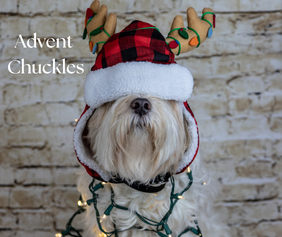 Advent Chuckles