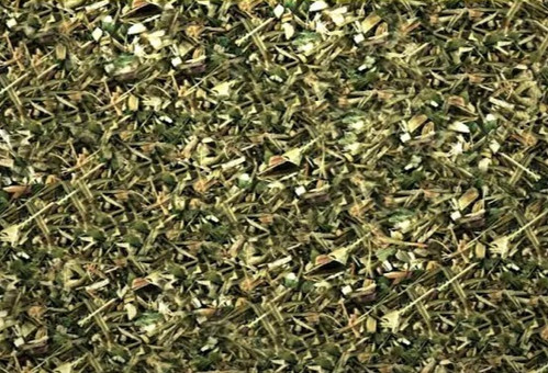 Echinacea Leaves (Echinacea Angustifolia) | Cameron's