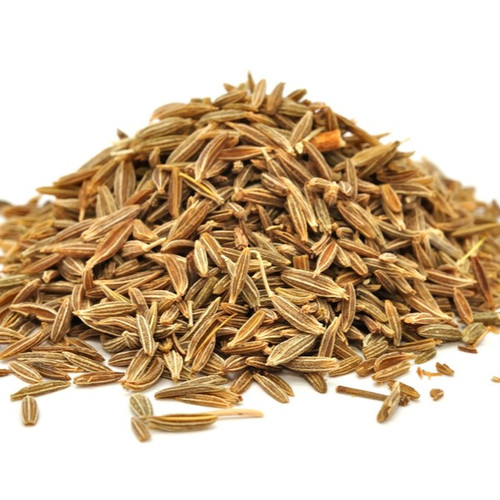 Caraway Seeds (Carum carvi) | Cameron's