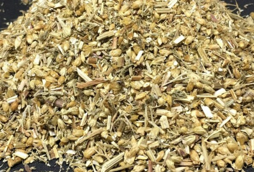 Yarrow (Achillea millefolium) | Cameron's