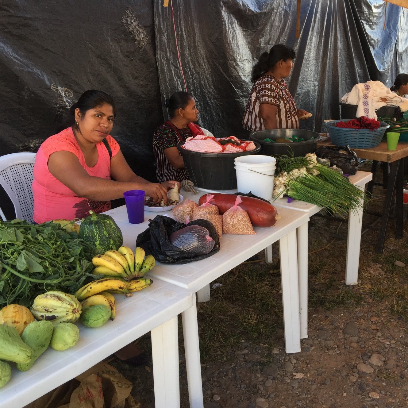 Our Impact: Why It Matters | Human Well-Being | Ecologic Development Fund