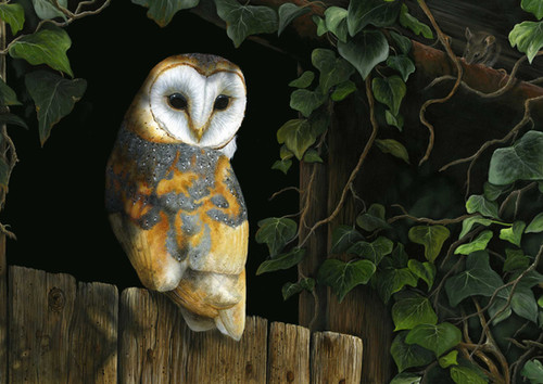 Ian Kent Ivy Barn | Grovely Puzzles