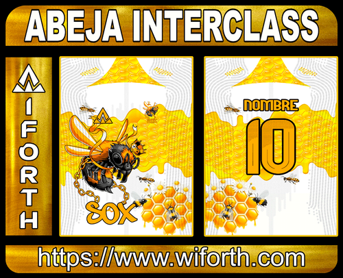 ABEJA INTERCLASS | Wiforth