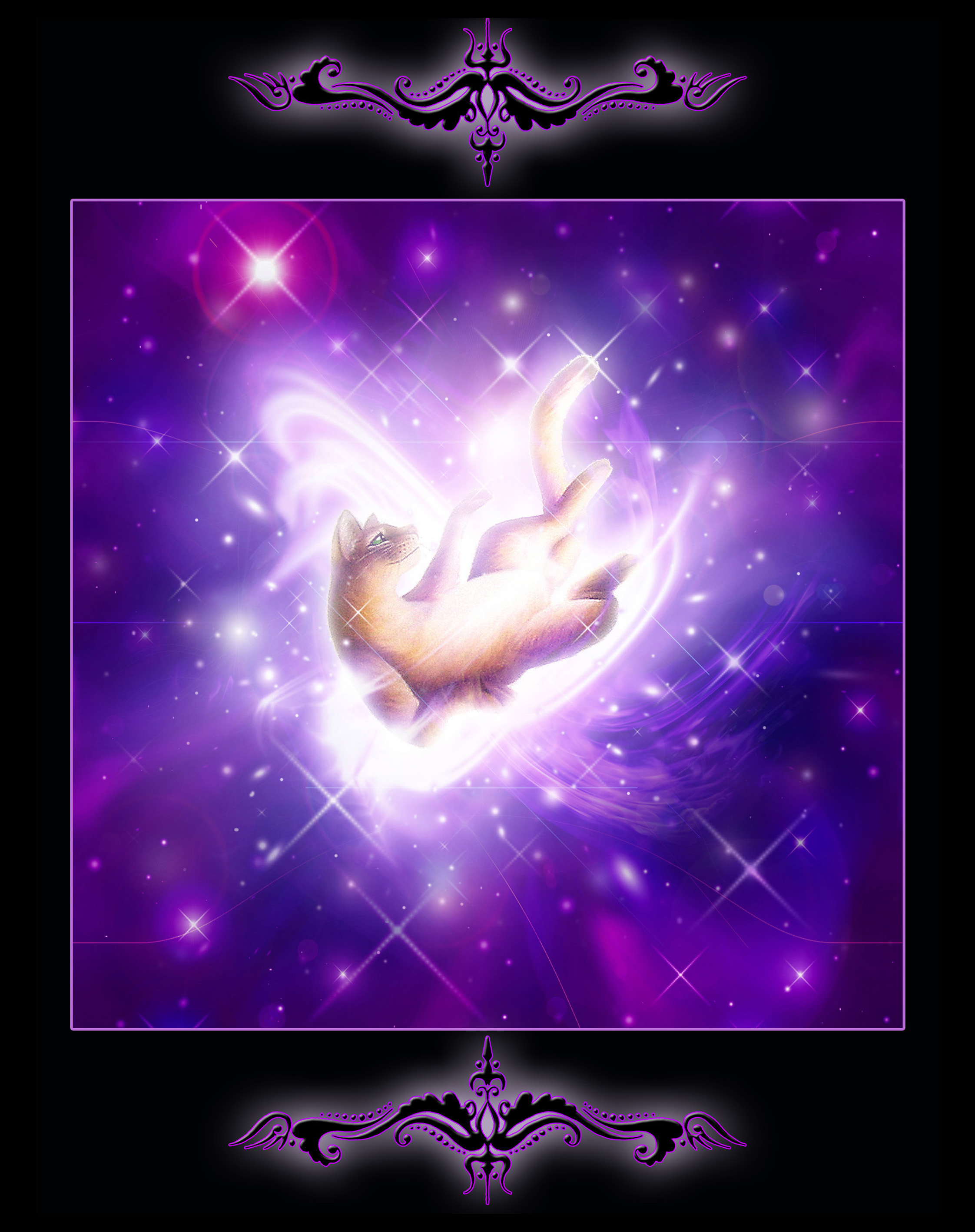 Dance of the Fire Cat