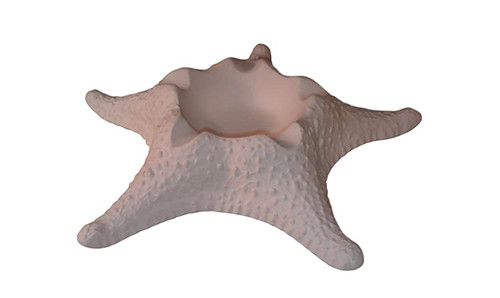 Ceramic Lone Star Starfish Ashtray | Countryside Ceramics