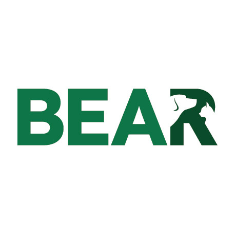 BEAR Fundamentals (Phase II) In-person Workshop | Shelter Dog Play!