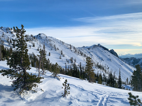 Mar 20-24 | Fortune Creek Huts