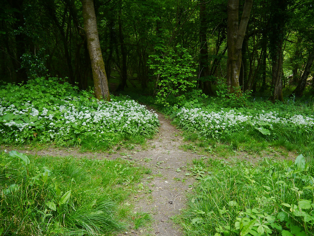 The Folklore of Crossroads